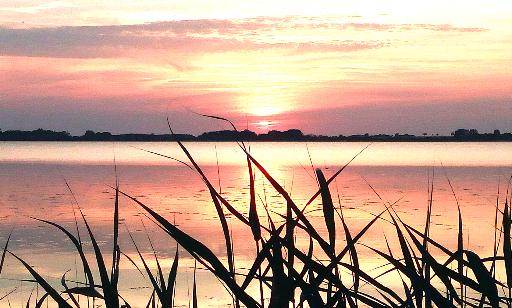 AVS-System/Meldeschein : Ostseebad Breege-Juliusruh