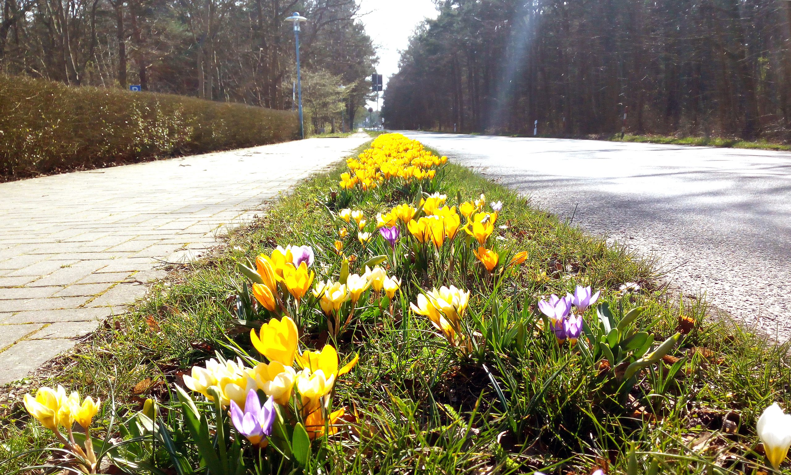 mit dem Auto : Ostseebad Breege-Juliusruh